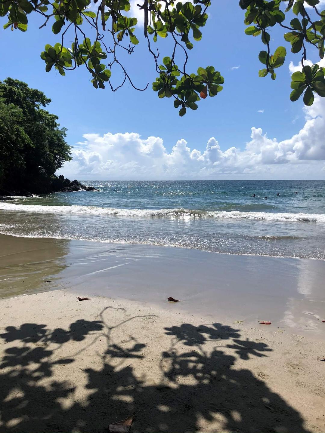 Bacolet Beach Club: Everything you need to know - Caribbean Warehouse